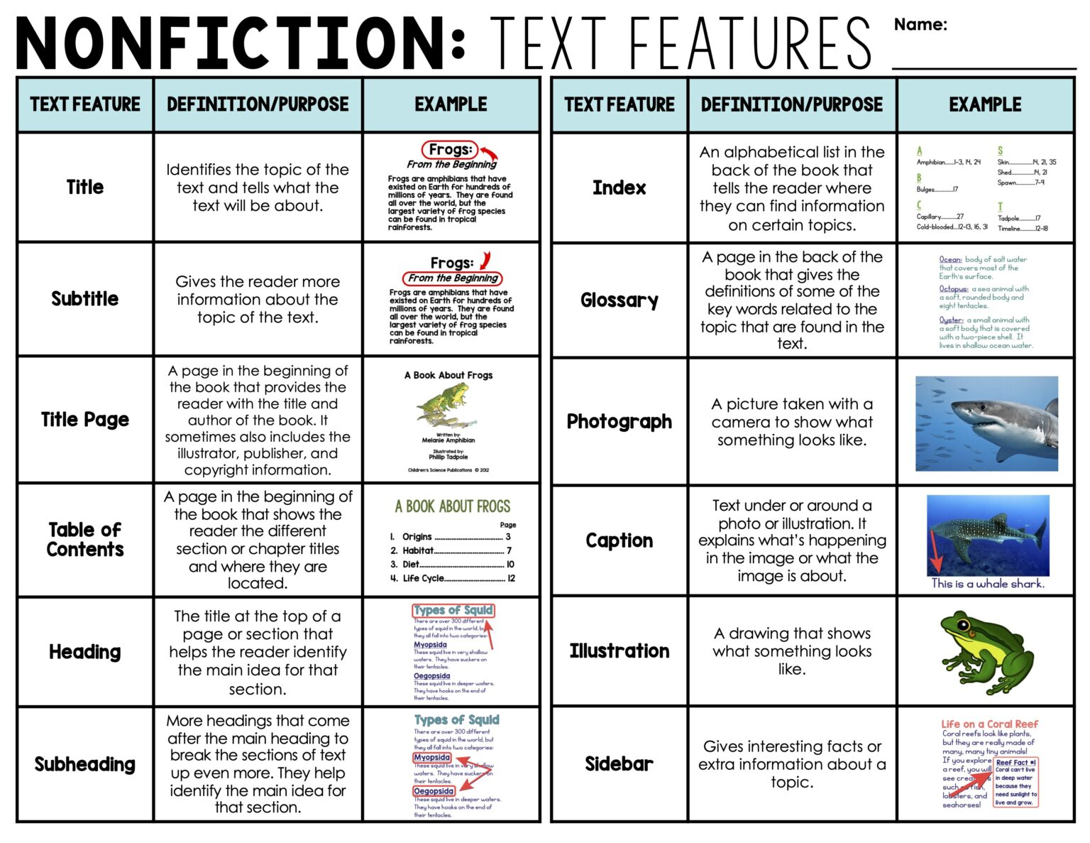 Strategies for Teaching Nonfiction Effectively – Research for Teachers