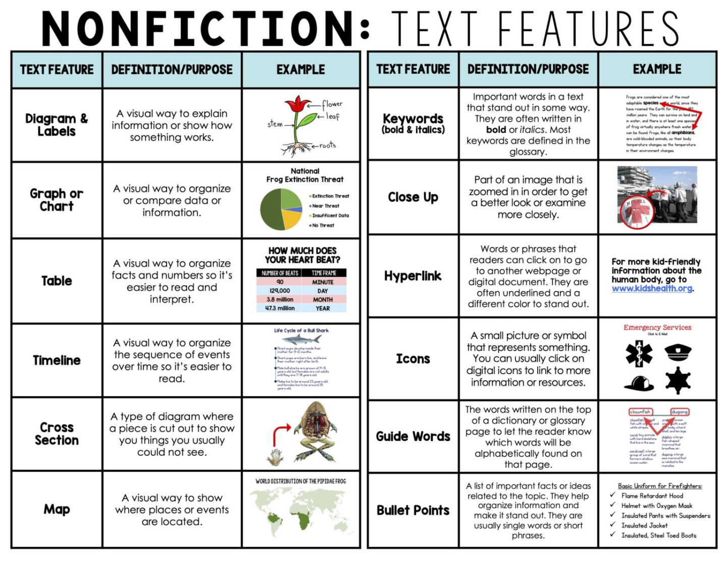 Strategies for Teaching Nonfiction Effectively – Research for Teachers